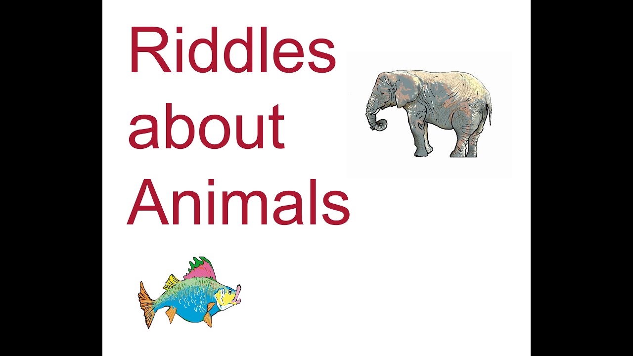 Riddles About Animals YouTube riddles-about-animals-youtube