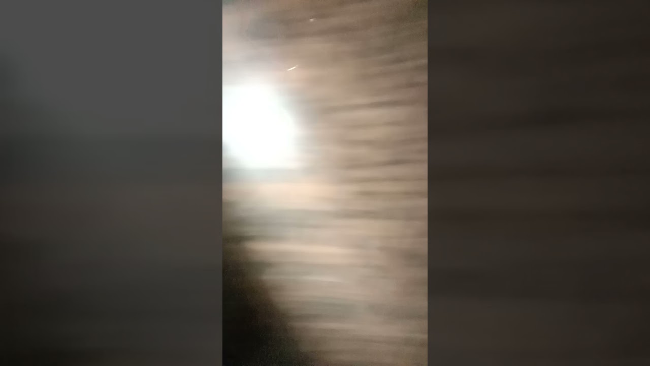 Hunting for a cockroach,but missed. - YouTube