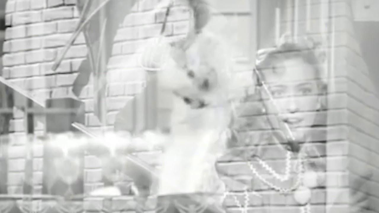 Reverse Bunny - YouTube