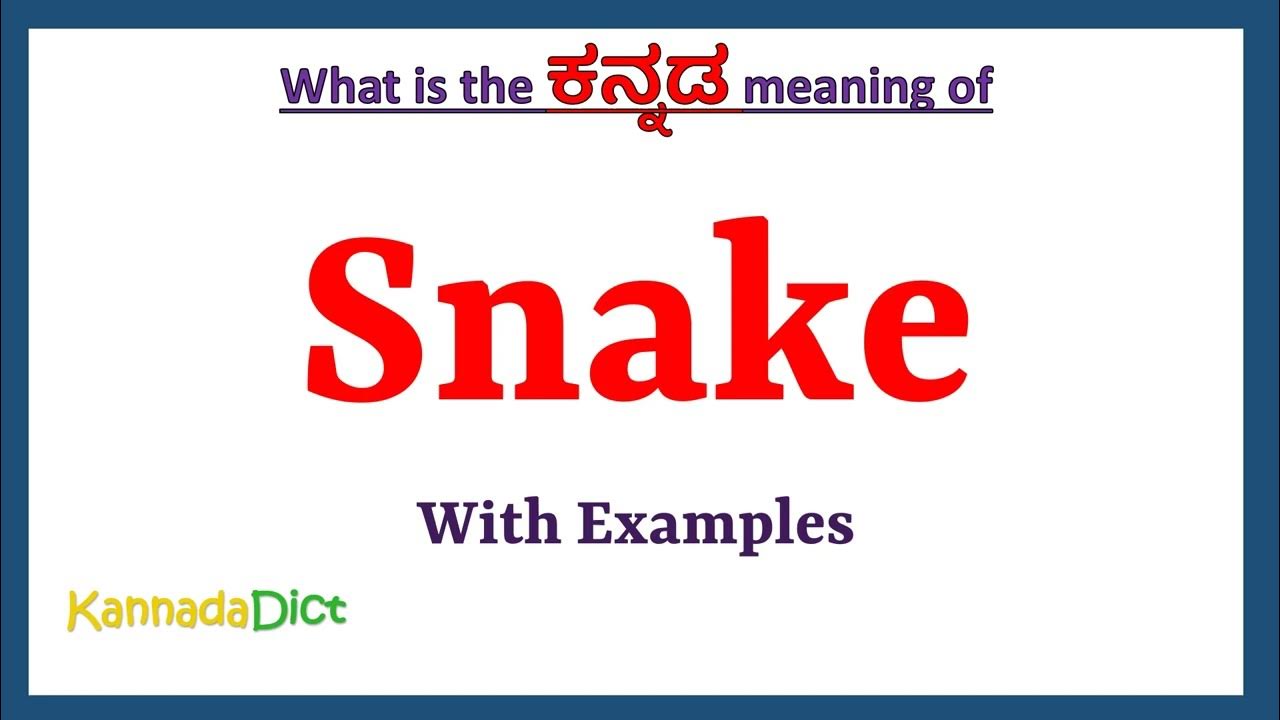 snake-meaning-in-kannada-snake-in-kannada-snake-in-kannada