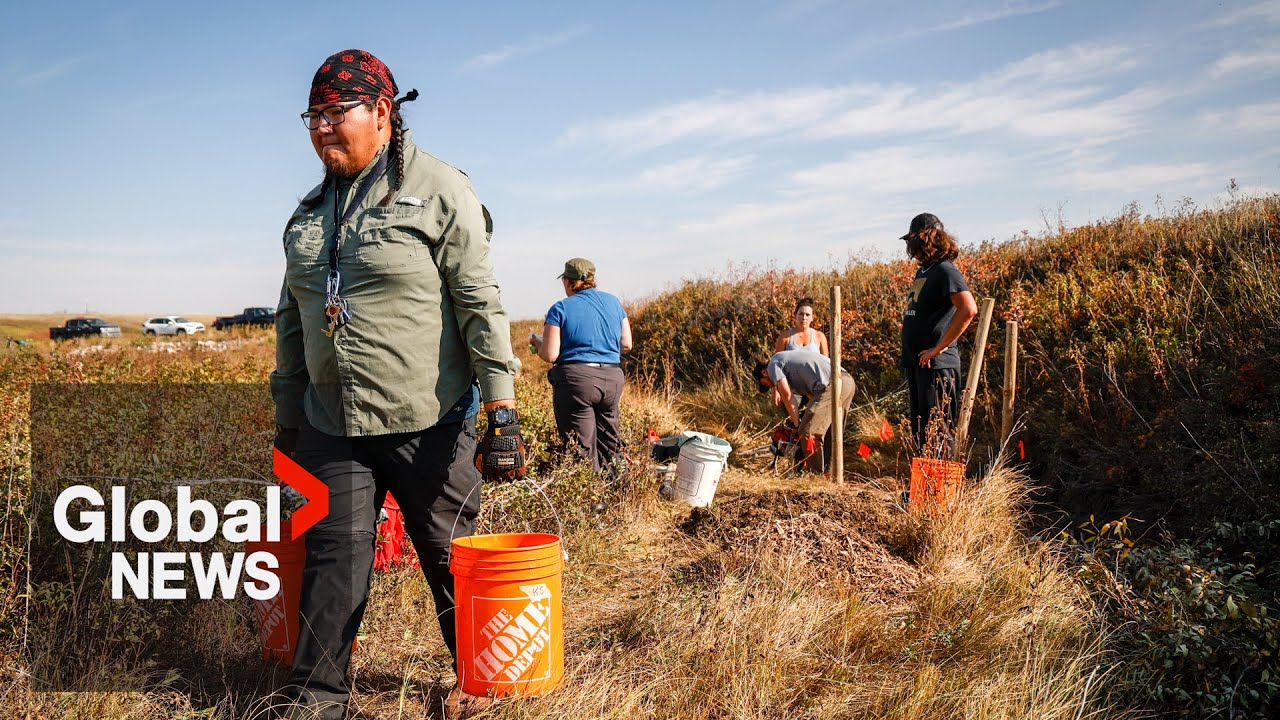 In fight to save millions of species from extinction, world ...