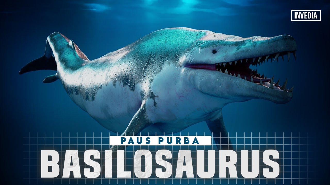 Paus Purba 40 Juta Tahun Lalu [REUPLOAD PERBAIKAN AUDIO] - BASILOSAURUS ...