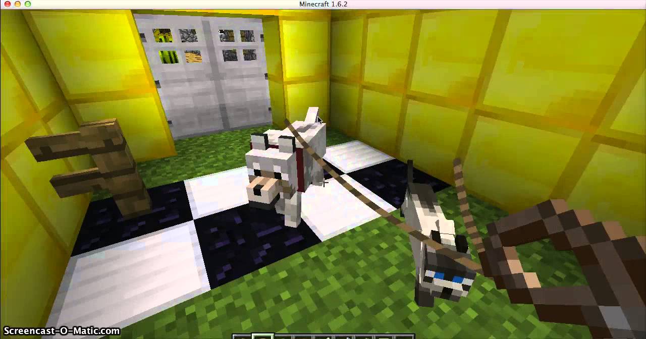 Minecraft Cats N Dogs 2 With Wildstorm12 - YouTube