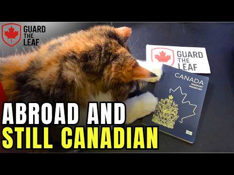 The World Is Watching Trump Bully Canada And Every Canadian Needs To Stand Up