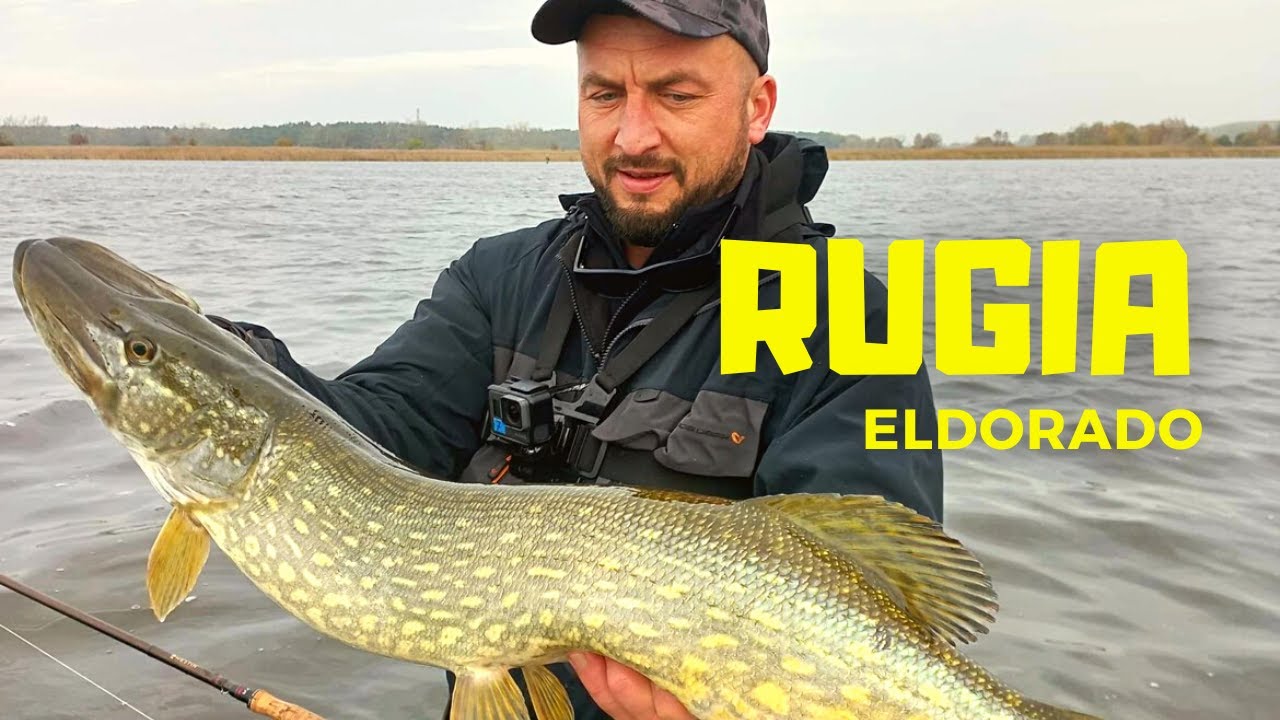 Wędkarstwo na Rugii, czyli szczupaki jeden za drugim! - YouTube