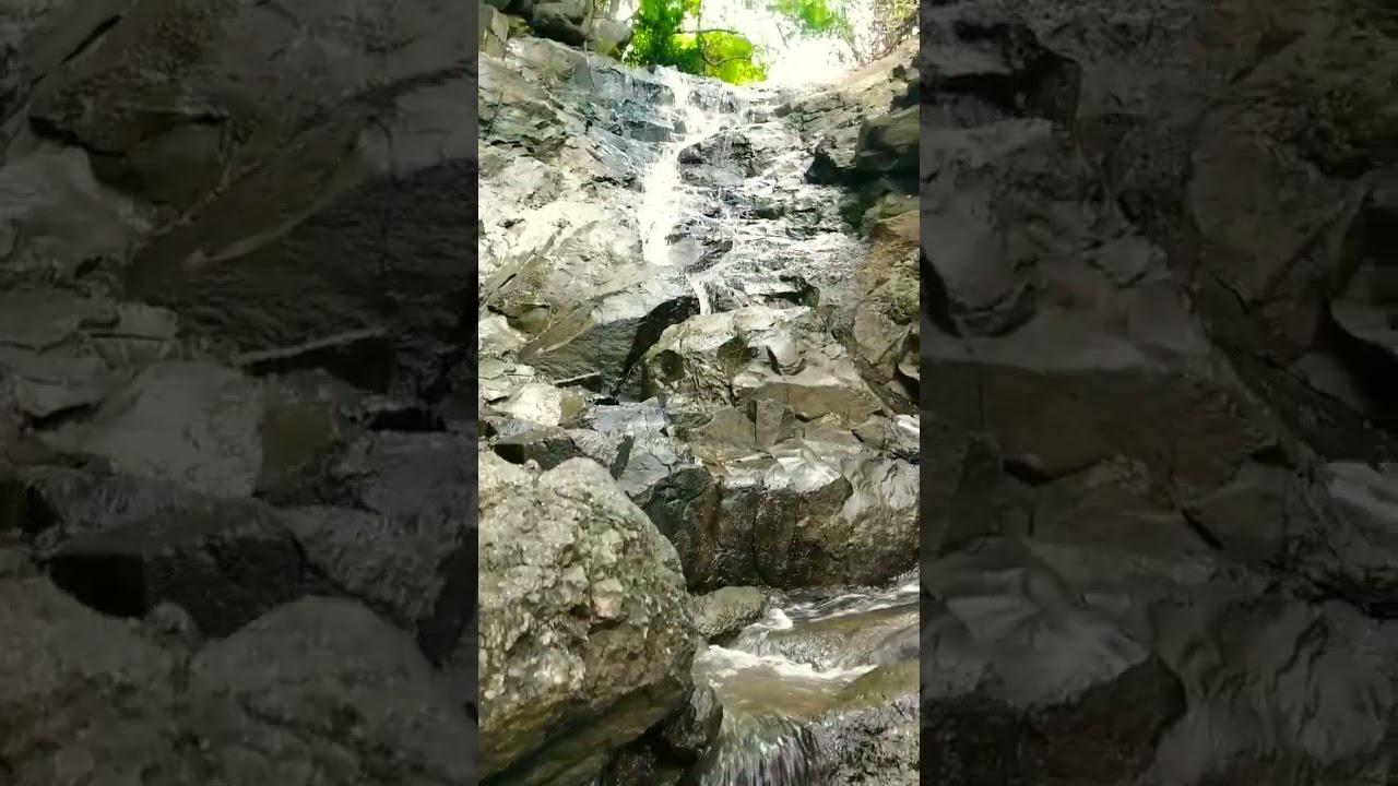 वाघोबा घाटातील धबधबा, पालघर. 🌊 | Waghoba ghat waterfall, Palghar - YouTube