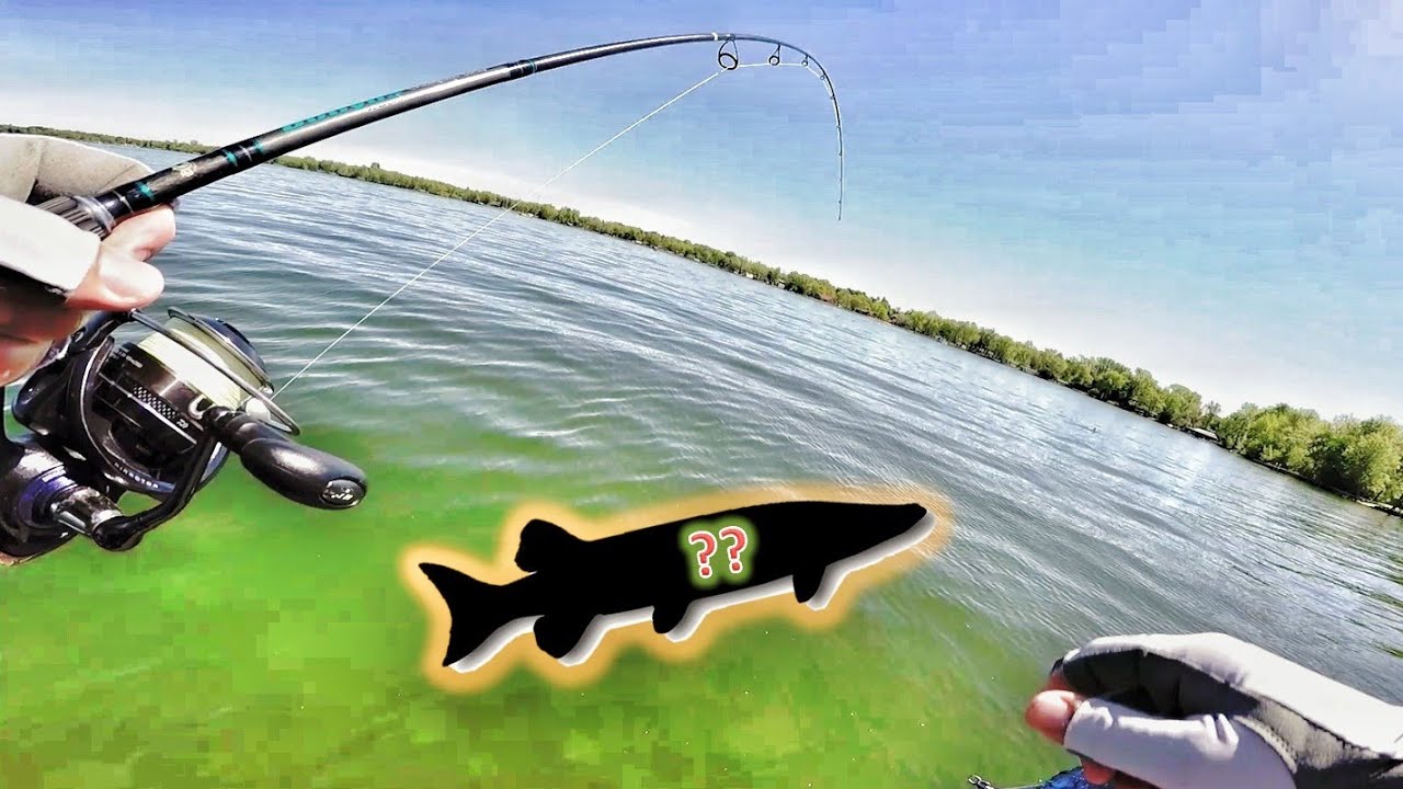 MONSTER FREAK FISH PB?? - Ultra Light Line Crystal Clear Water - EPIC ...