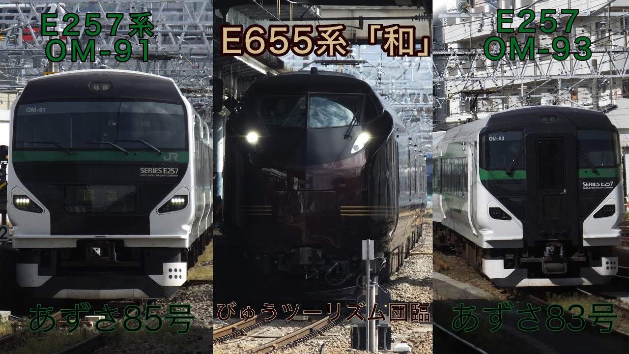 【E257系•E655系｢和｣】秋の臨時列車で賑わう松本駅 - YouTube
