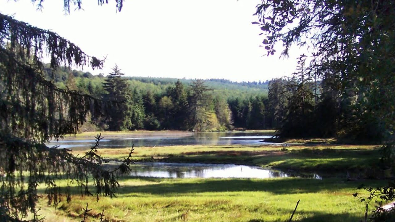 Beautiful Hansville, Washington - YouTube