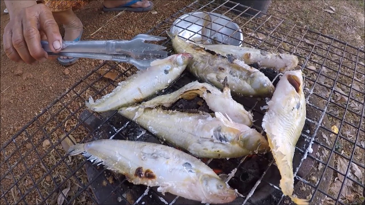 Grilled Fish with salt - Laos Local Food - YouTube