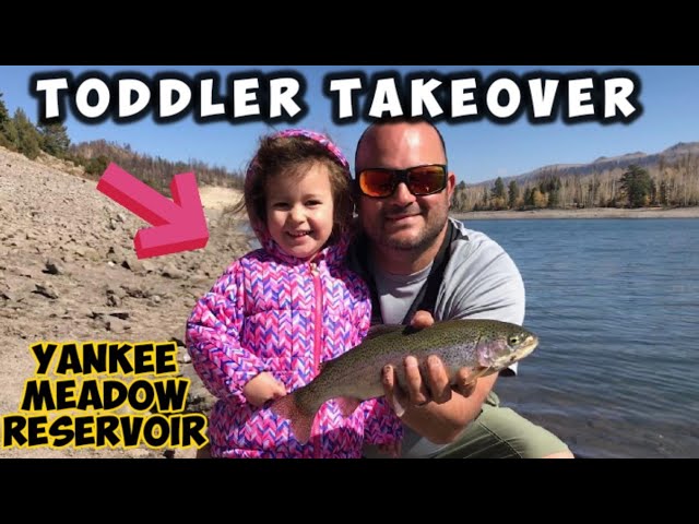 Fish In The Meadow Over