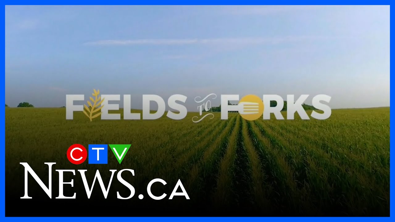Fields to Forks- Find out more about the "From Mine to Farm to Table" campaign - YouTube
