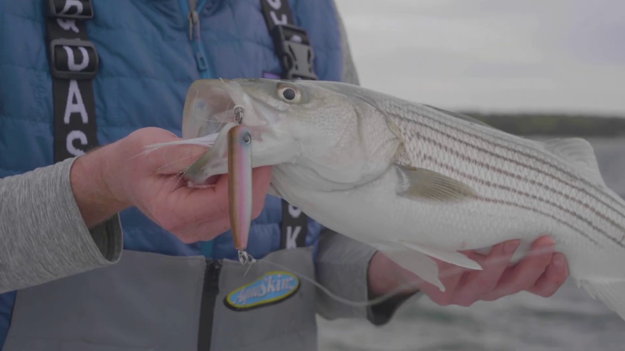 How-To: Charter Grade Squid Plug - YouTube