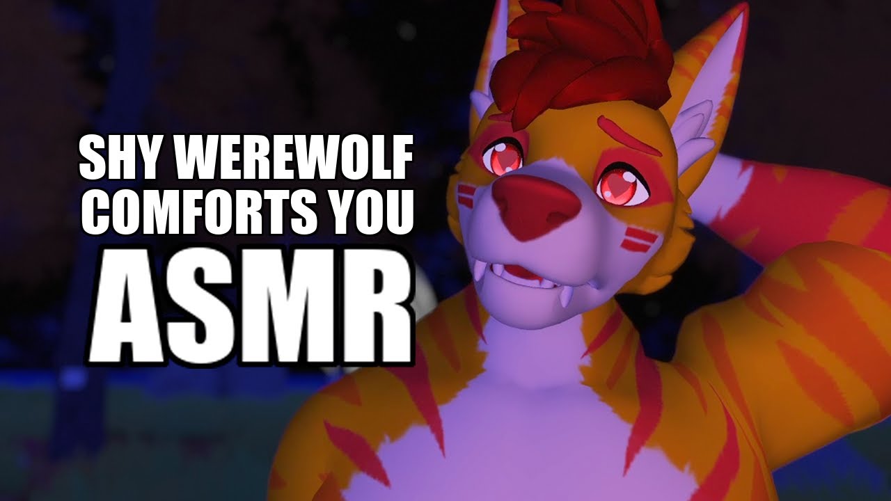 [Furry ASMR] Your shy werewolf boyfriend comforts you (whispered ...