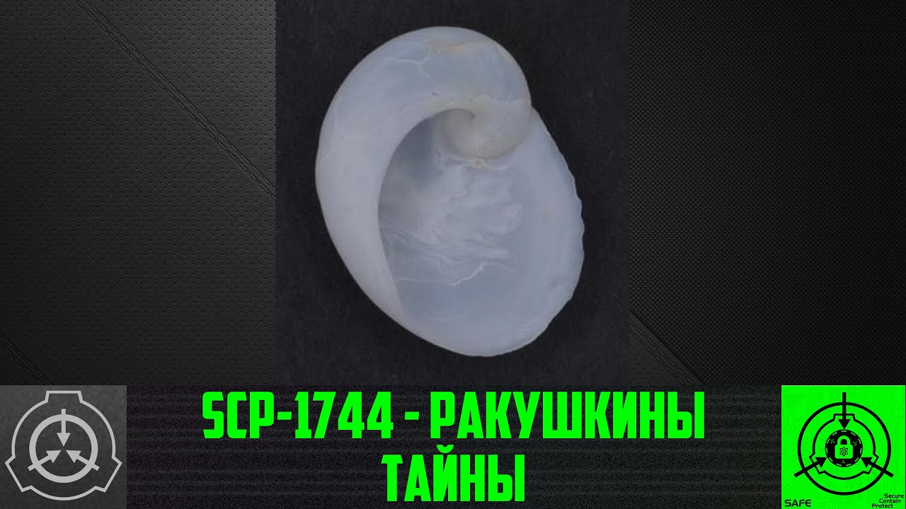 SCP 1744 Ракушкины тайны - YouTube