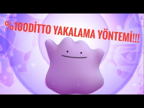 Pokemon Go:%100DİTTO YAKALAMA YÖNTEMİ!!7 Günlük Research Progress Görevi İle Dikkatli İzle!!