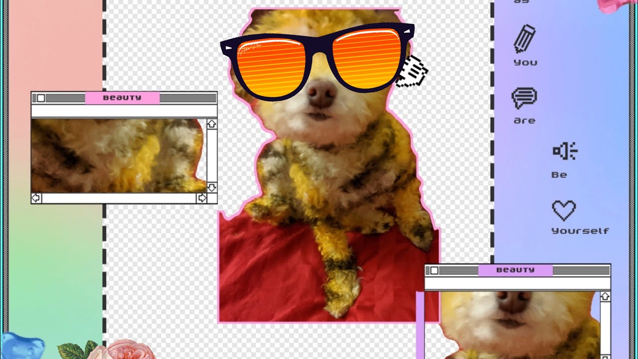 Dog hair dye into tiger - YouTube