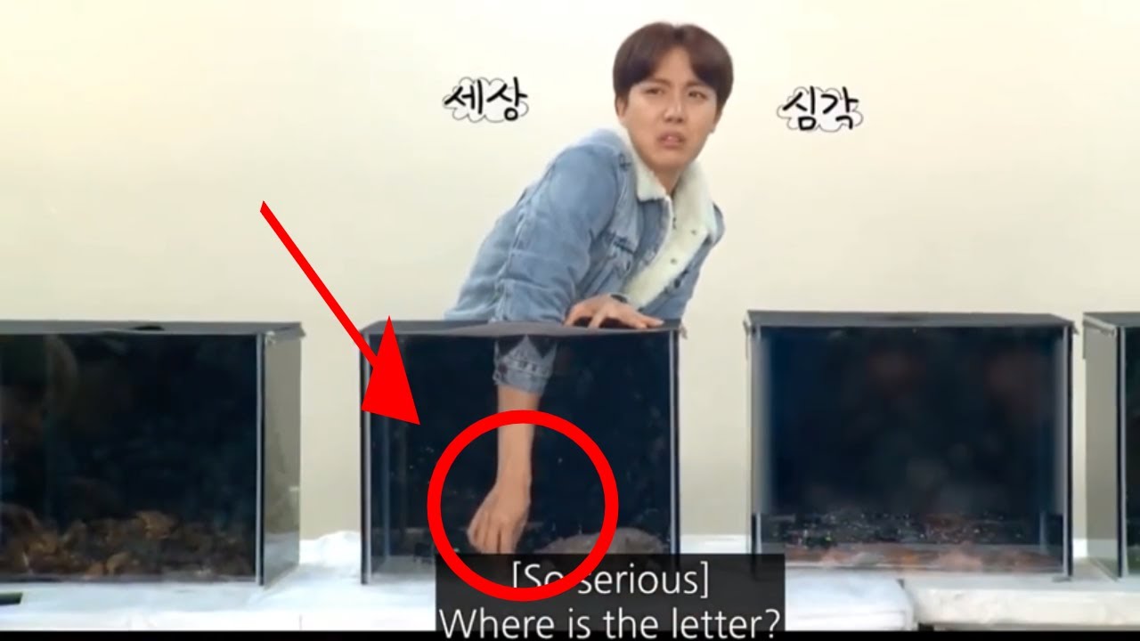 BTS SCARED MOMENTS ( Compilation )| 방탄소년단 겁쟁이 - YouTube