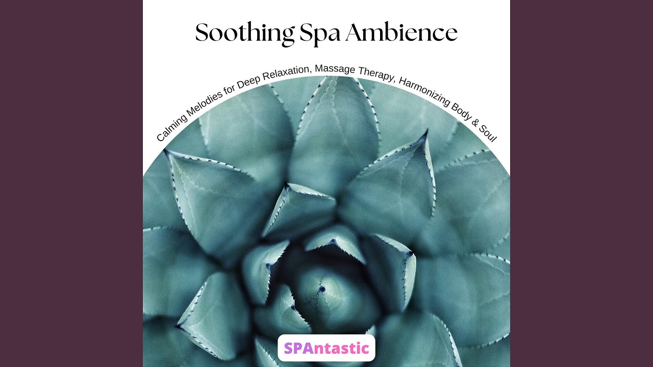 Spa Wellness Under the Moonlight - YouTube