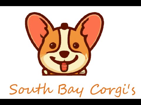 Play time Jan 5th 2024, spot your Pup! - YouTube