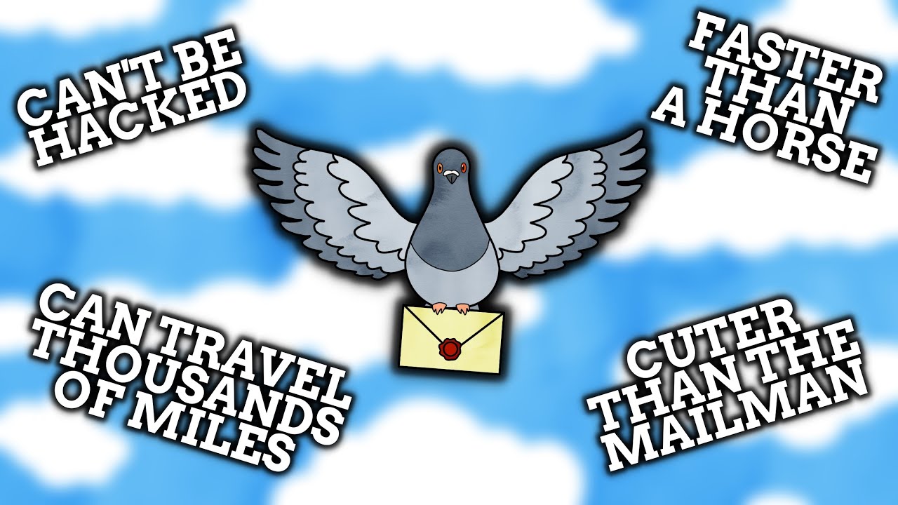 Pigeons Are Peak Communication - YouTube