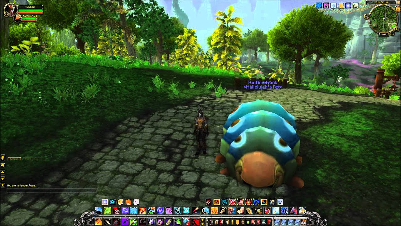 World of Warcraft Mists of Pandaria New Hunter Pet - YouTube