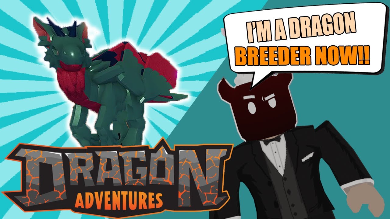 I'm a Dragon Breeder Now!!! - Dragon Adventures - Roblox - YouTube