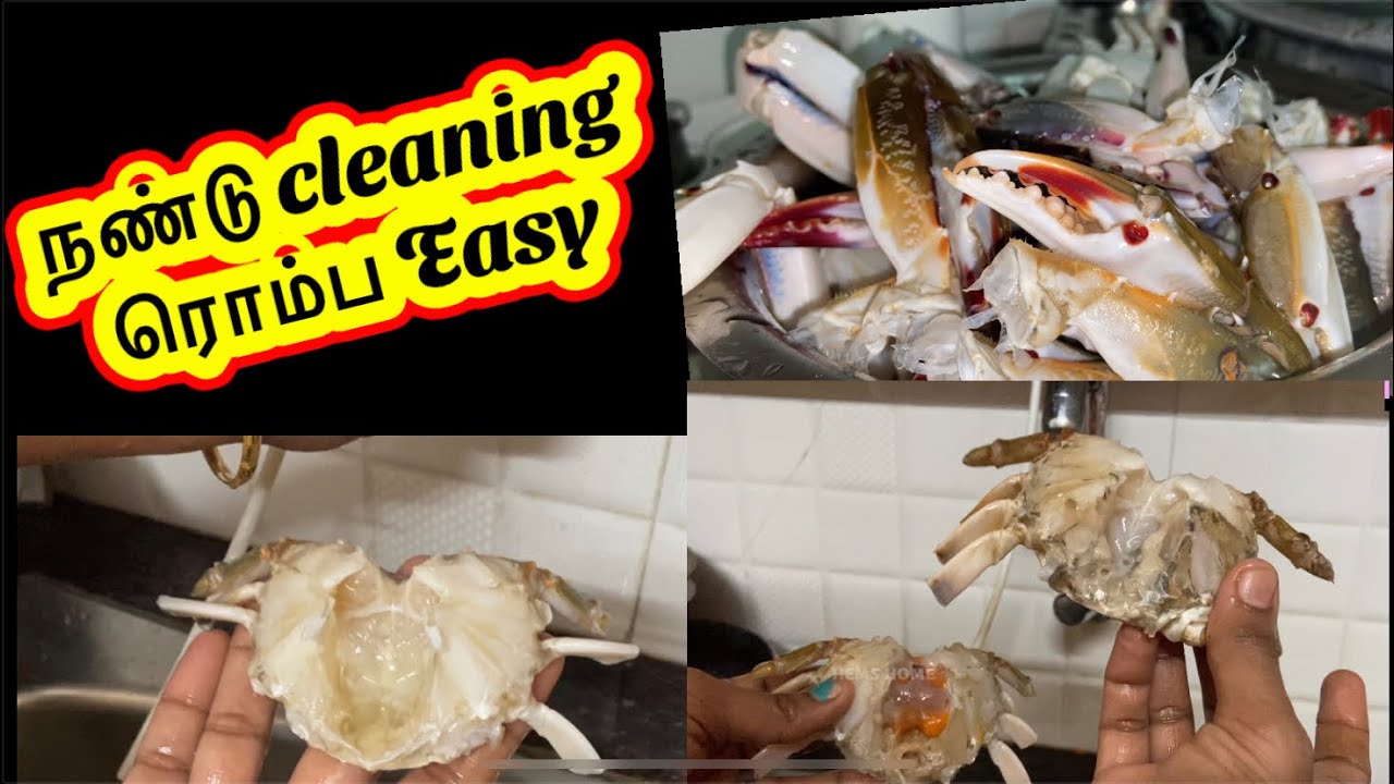 Easy method to clean crab at home | Hems home - YouTube