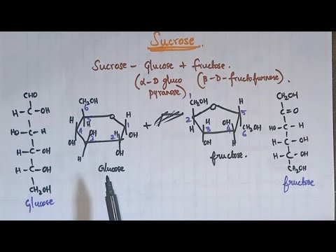 Why Sucrose is non reducing sugar?🤔 - YouTube