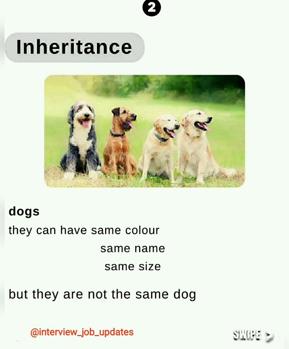 Oops In Real Life Oopsinjava Programming Inheritance Polymorphism Encapsulation