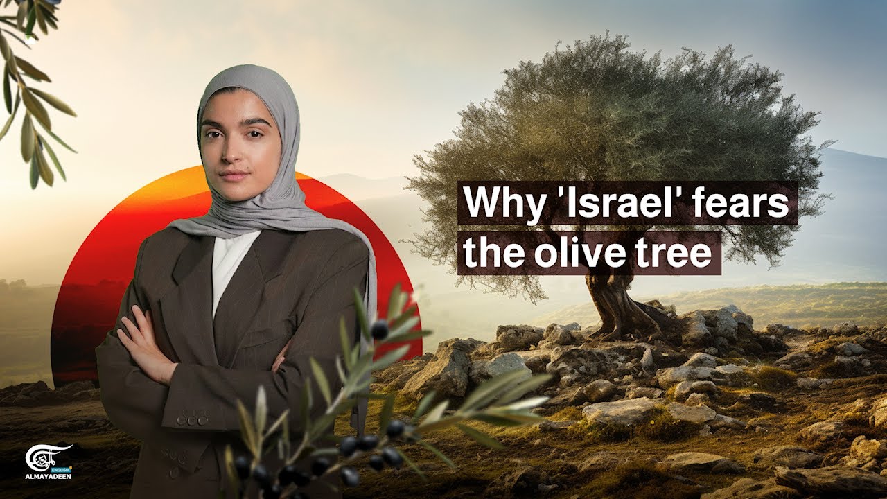 Why 'Israel' fears the olive tree - YouTube