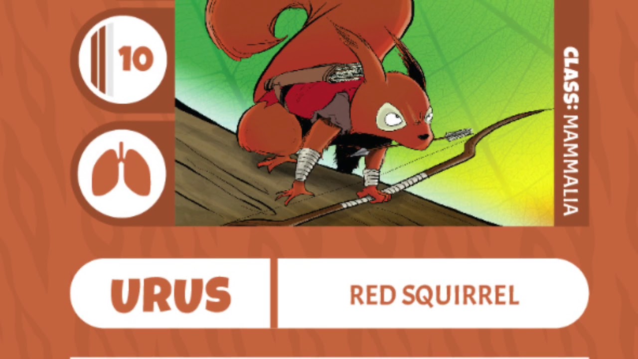 Red Squirrel Exercise Video - YouTube