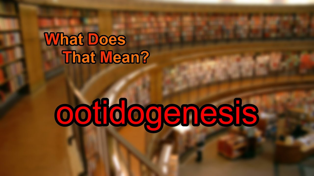 What does ootidogenesis mean? - YouTube