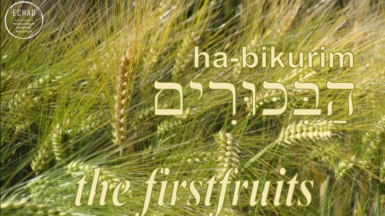 Chag Ha-Bikkurim - YouTube