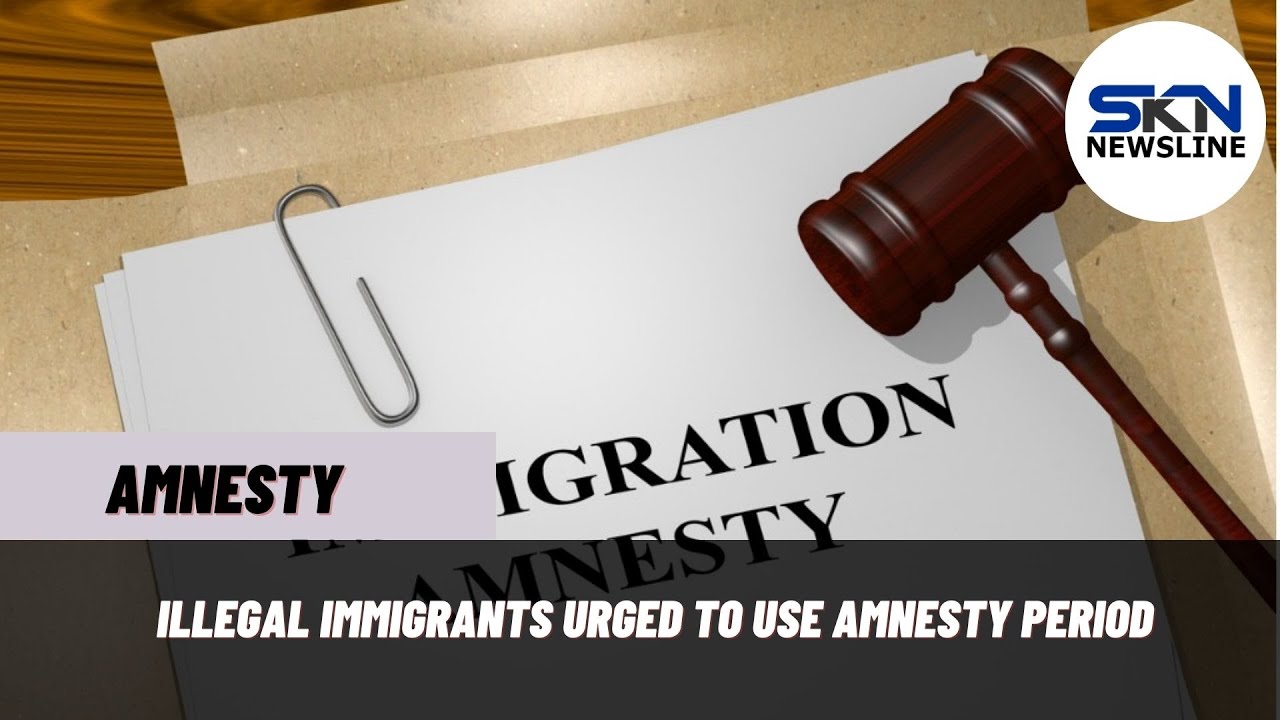 ILLEGAL IMMIGRANTS URGED TO USE AMNESTY PERIOD - YouTube