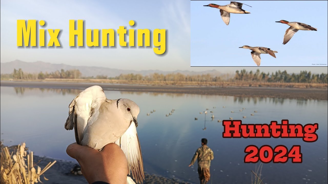 Ultimate Duck Hunting Guide: Tips, Tactics, and Thrills | Ducks Hunting ...