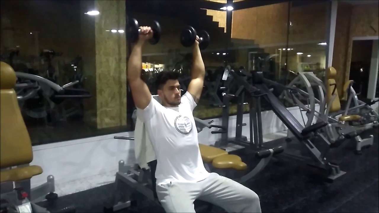 (Ombros|Shoulders) Press com halteres sentado | Seated dumbbell press ...