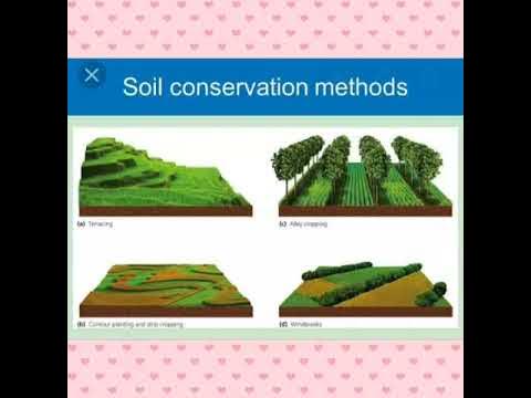 Class- 8 Geography Chapter- 2 soil Conservation Methods PPT - YouTube
