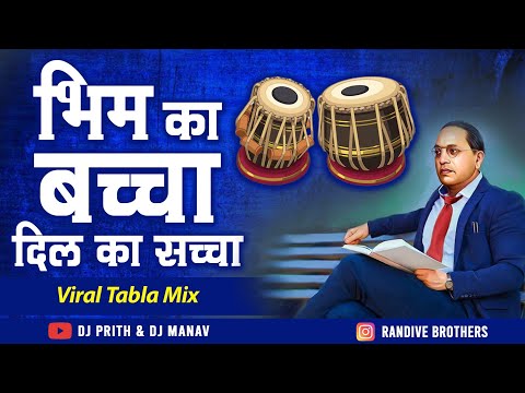 Bhim Ka Baccha Dil Ka Saccha | Ek Ek Ye Jay Bhim Wala Sau Pe Bhari Hai | Dj Prith & Dj Manav