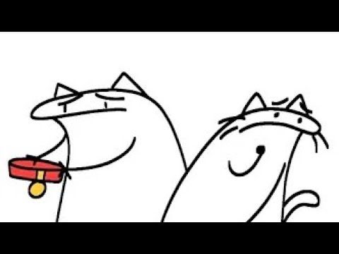 cat.mp4 (reupload) - YouTube