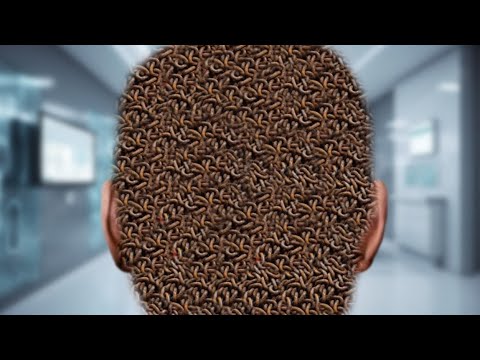 ASMR Removal Dog Ticks and Worms Infected Head | ASMR 2D Animation ...