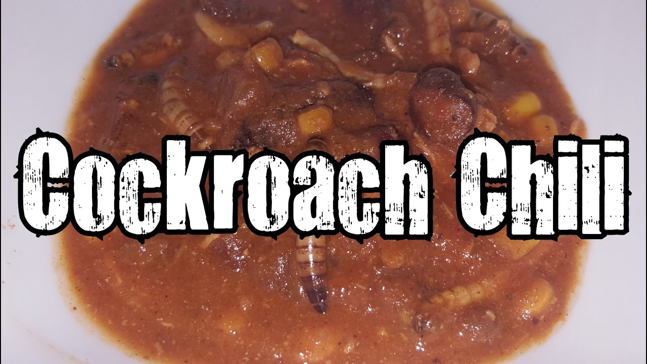 Cockroach Chili & Other Bug Food Recipes - YouTube