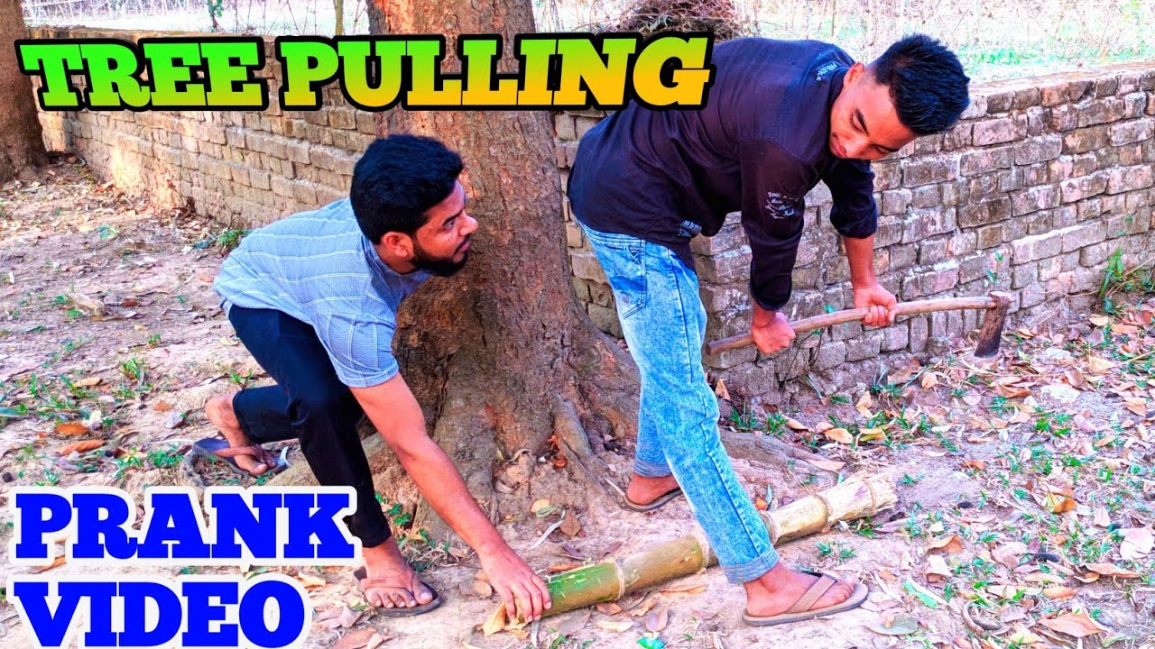 New Funny Tree Pulling Prank Video - Village Comedy Video - Try Not To ...