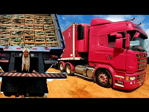 PRIMEIRA CARRADA DE VERDURA NO SCANIA ROSA..Bora Belem do PARA #VERDUREIRA #caminhoneira #SHEILA