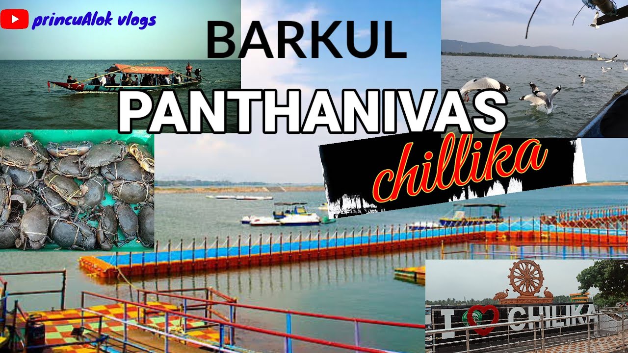 ବରକୂଳ ପନ୍ଥାନିବାସ //BARKUL PANTHANIVAS //Chillika //Beauty of Odisha ...