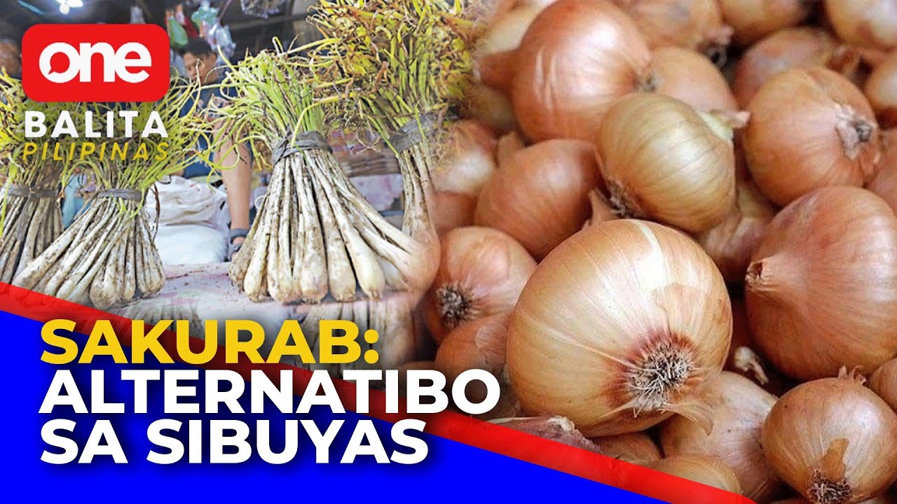 Ano ang kaibahan ng sakurab sa sibuyas? - YouTube