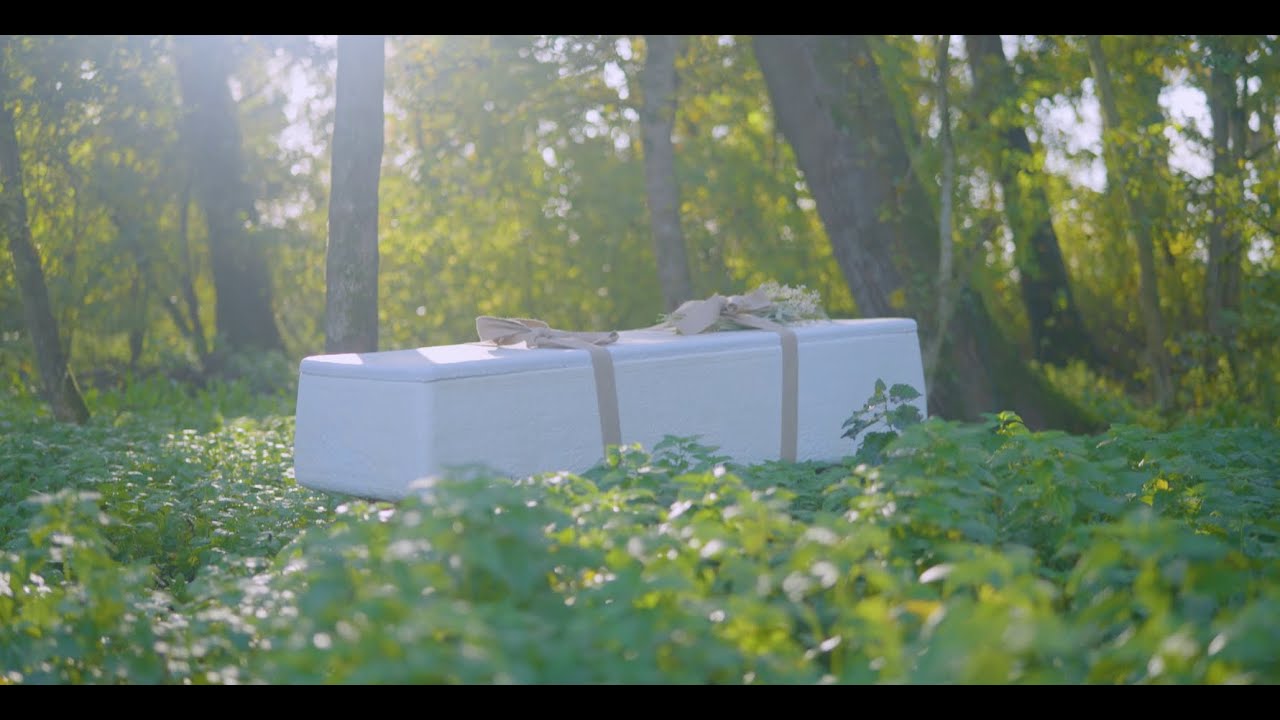 Loop Biotech | English Instruction video - YouTube