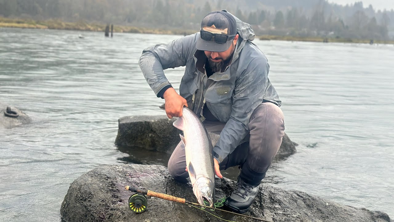Stave River huge hatchery coho on the fly - YouTube