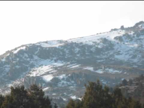 TURAN ENGIN-BIR MEKTUP YAZDIRDIM KARAKUSLARA-U.H.wmv