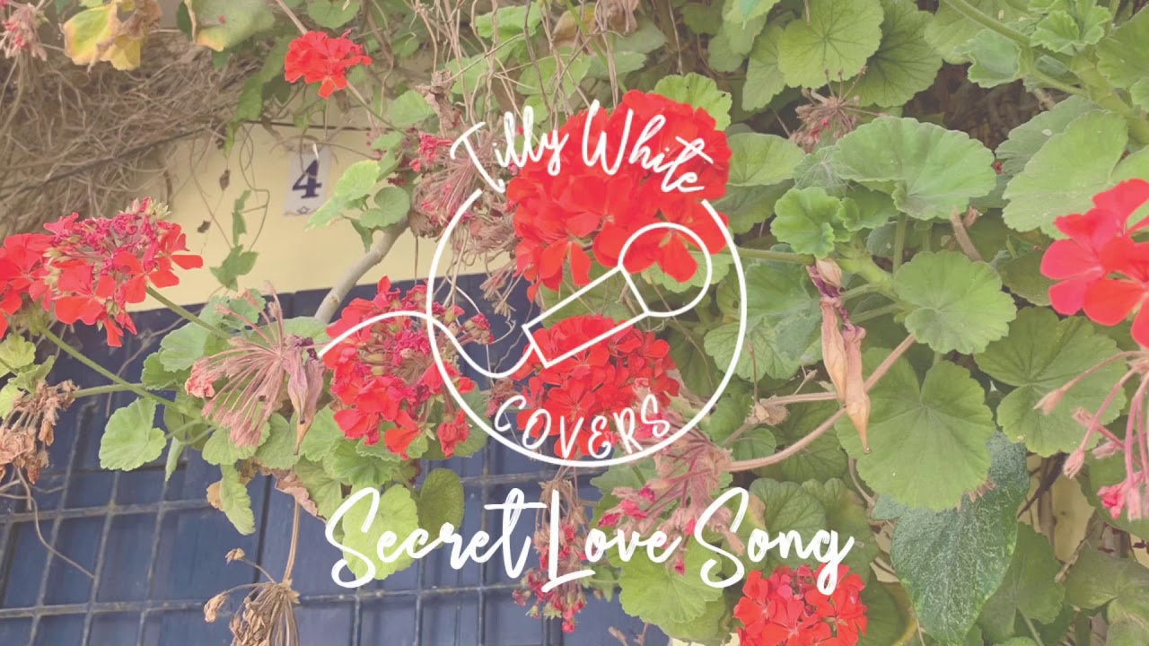 Secret Love Song - Little Mix (cover) - YouTube